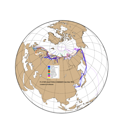 Development of Arctic Sea Routes and environmental conservation ...