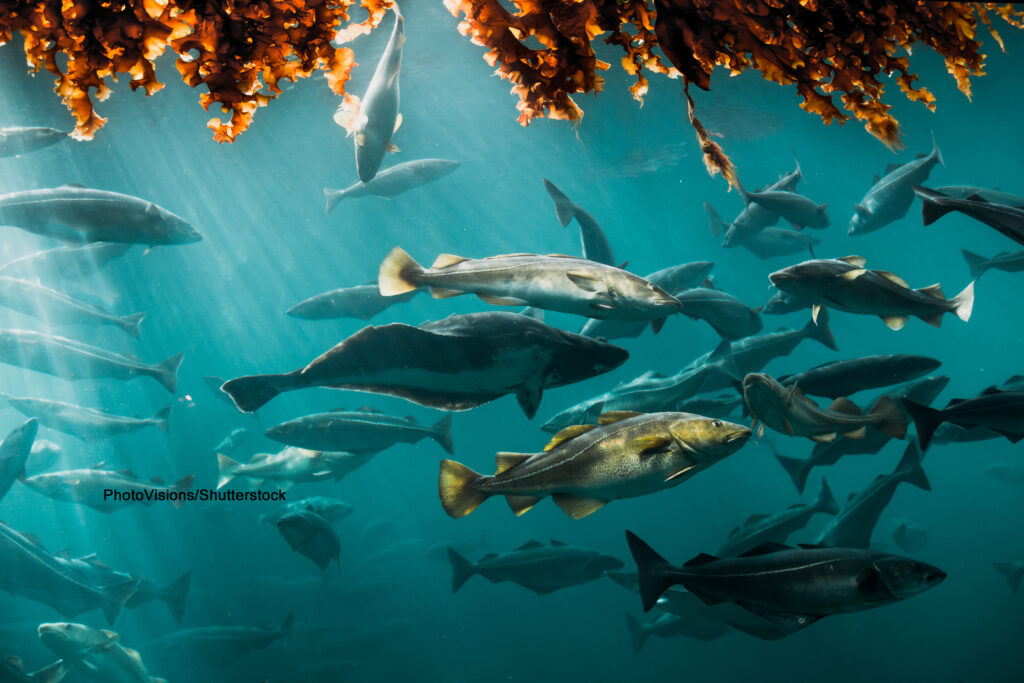 Understanding the Impact of Climate Change – Discover the impact of climate change on the ...