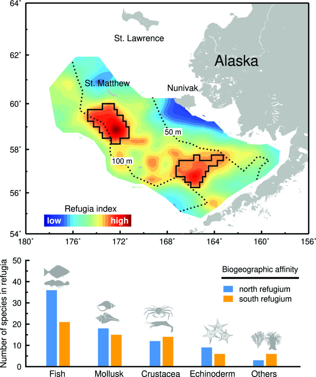Understanding biodiversity changes in sub-Arctic and Arctic Seas from ...