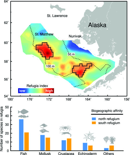 Understanding biodiversity changes in sub-Arctic and Arctic Seas from ...