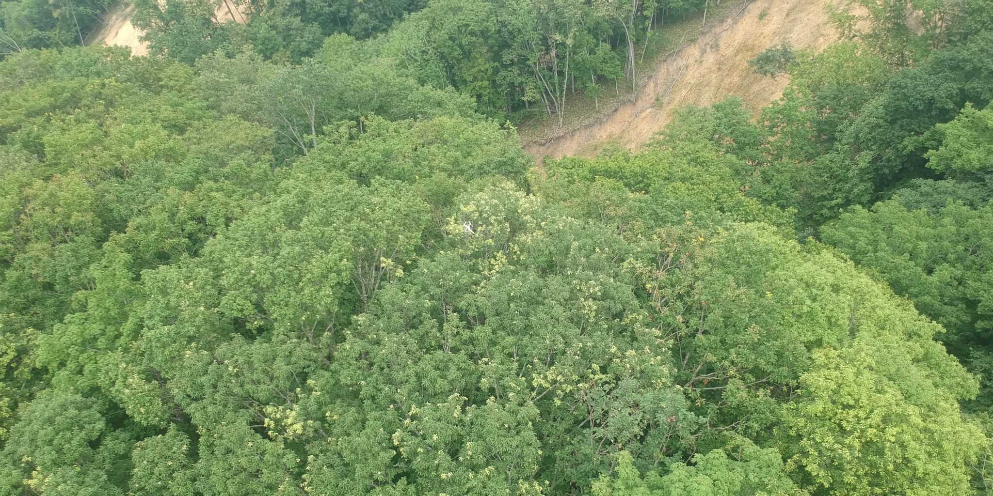 Understanding the Impact of Climate Change – Discover the impact of climate change on the ...