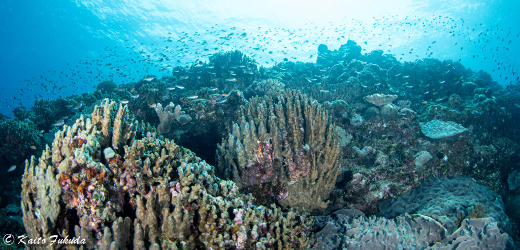 Understanding the Impact of Climate Change – Discover the impact of climate change on the ...