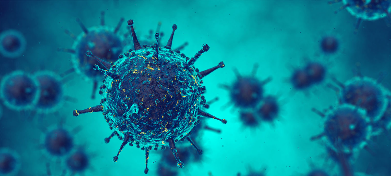 The 8th International Meeting for Global Virus Network, Oct 23-25 ...