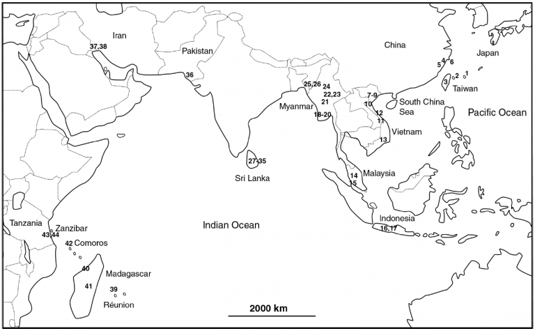 Mapping the migration of house shrews | Hokkaido University