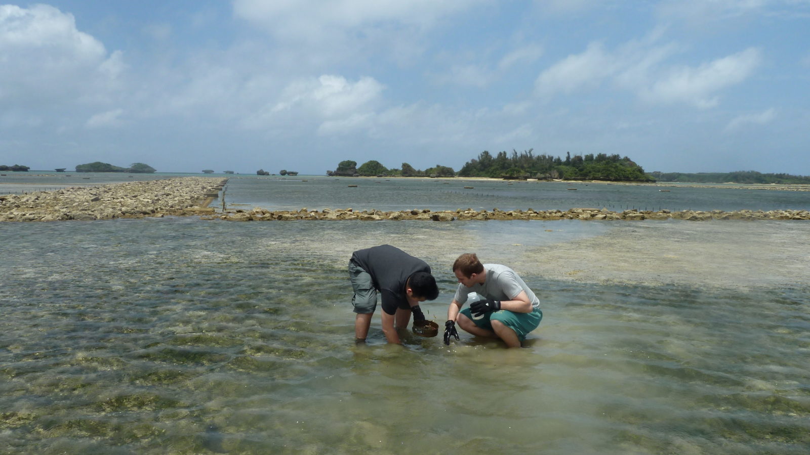 Spotlight on Research: The world is our oyster – unearthing a new ...
