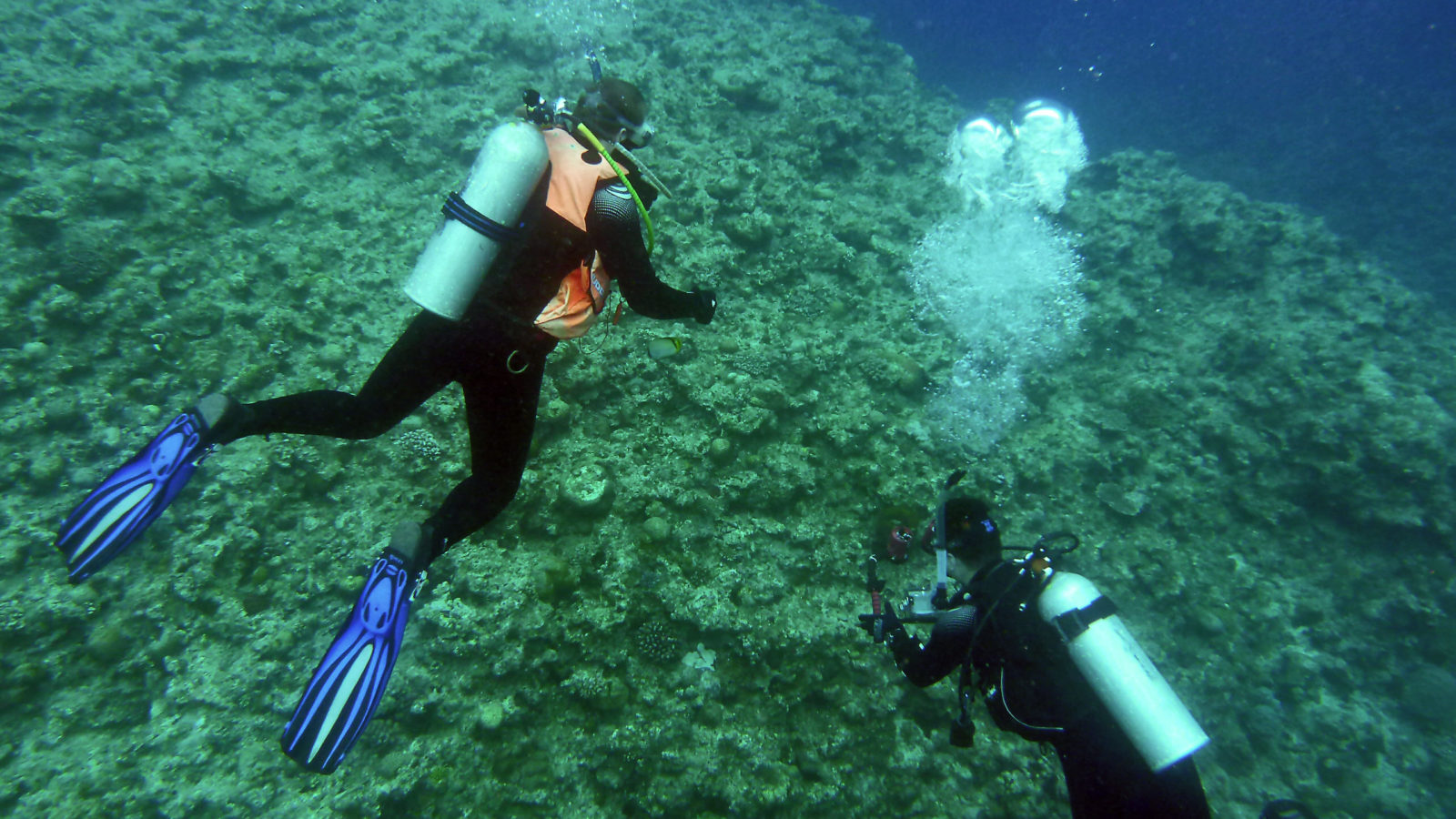 Spotlight on Research: The world is our oyster – unearthing a new ...