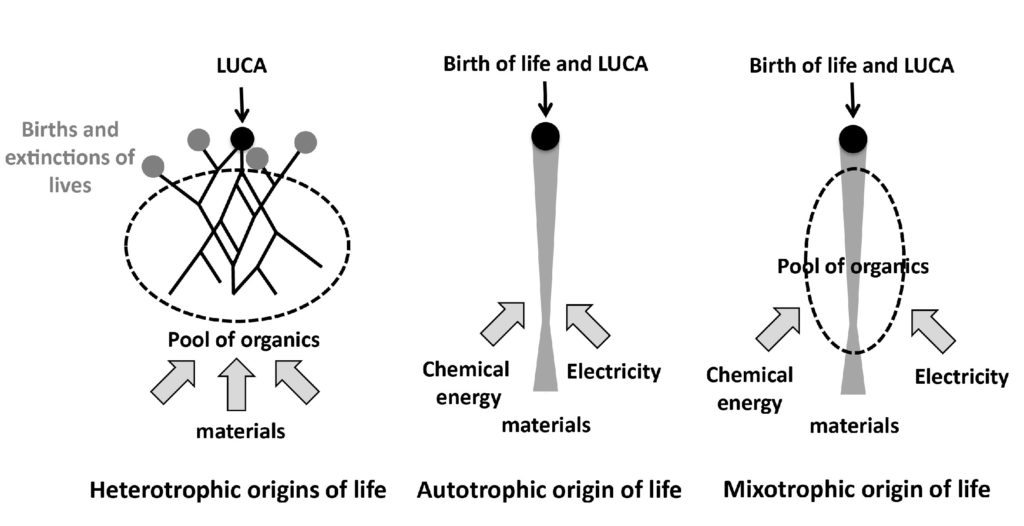 Discovery of a primordial metabolic system that gives us a glimpse of ...