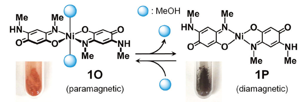 Crystals change color in response to vapor stimuli | Hokkaido University