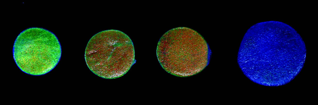 The era of soft matter | Hokkaido University