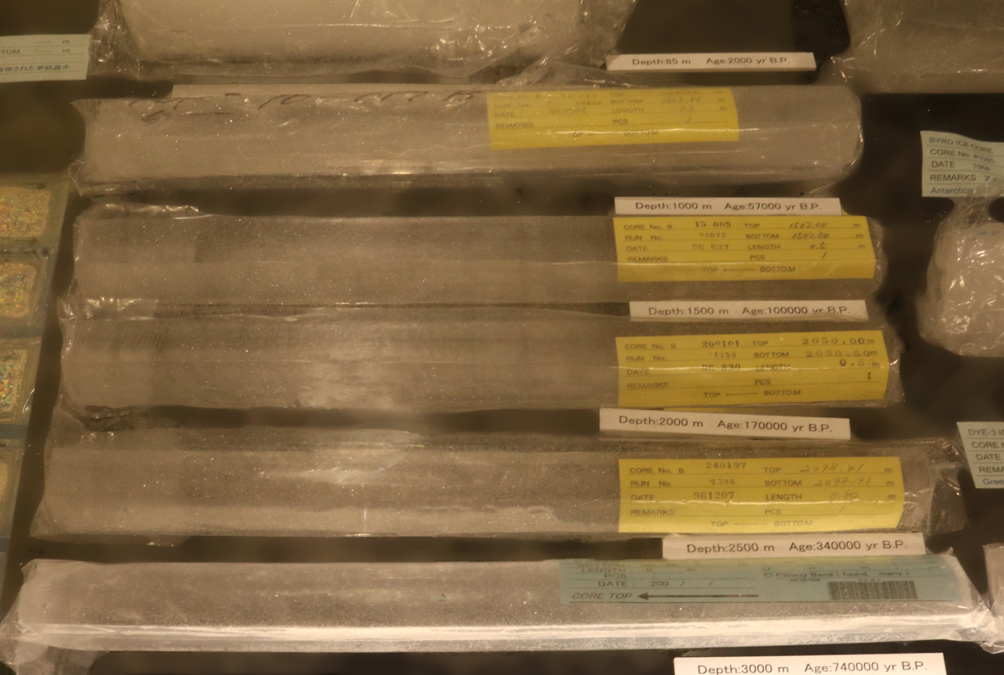 Low temperature science: the past, present, and future | Hokkaido ...