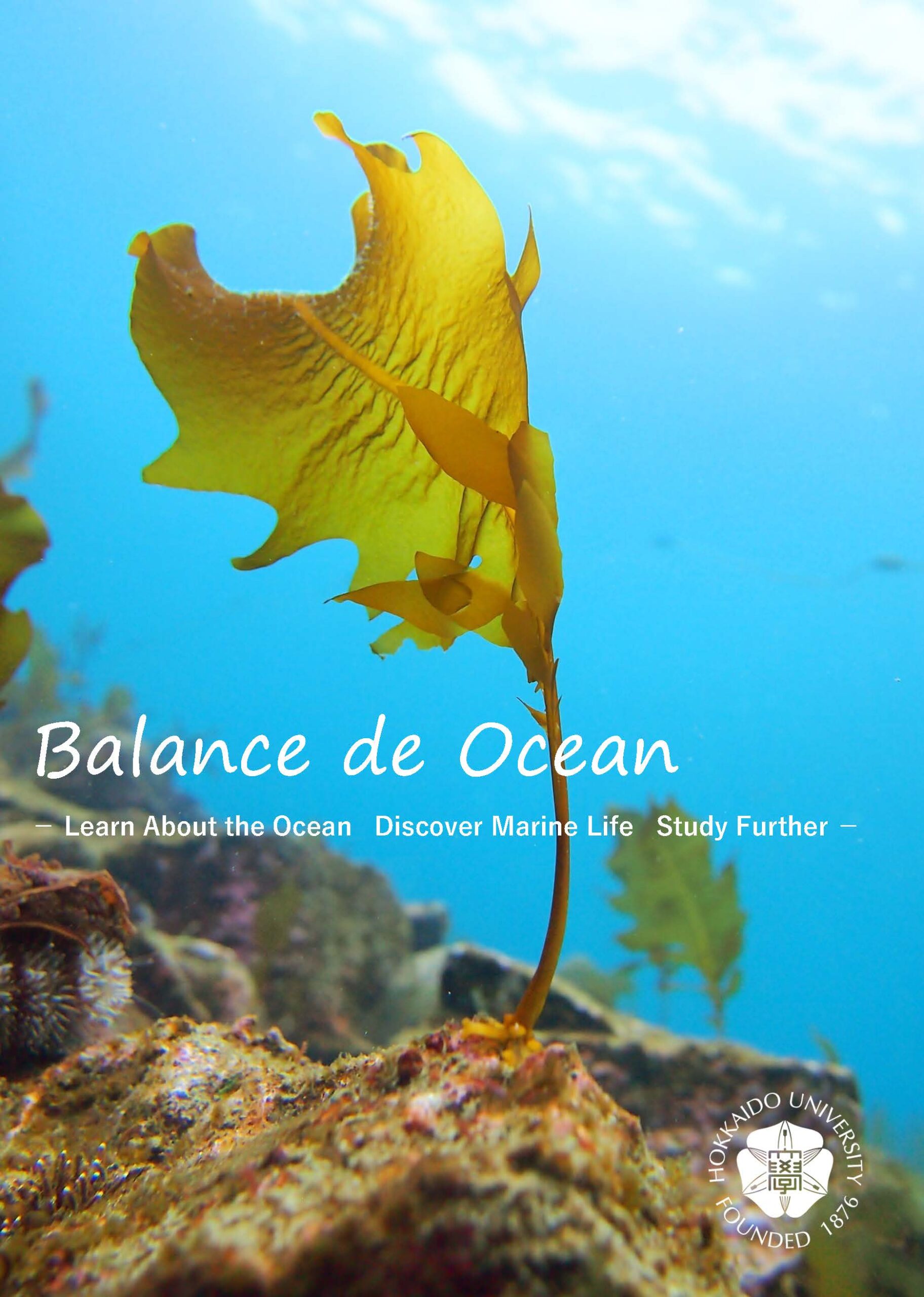 Balance de Ocean: A borderless marine learning for all | Hokkaido ...