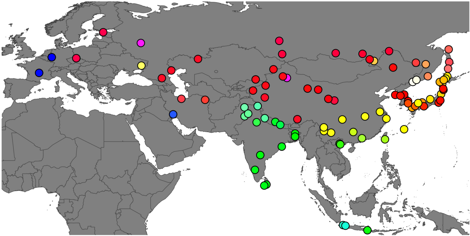 Unravelling the diversity of the wild house mouse | Hokkaido University