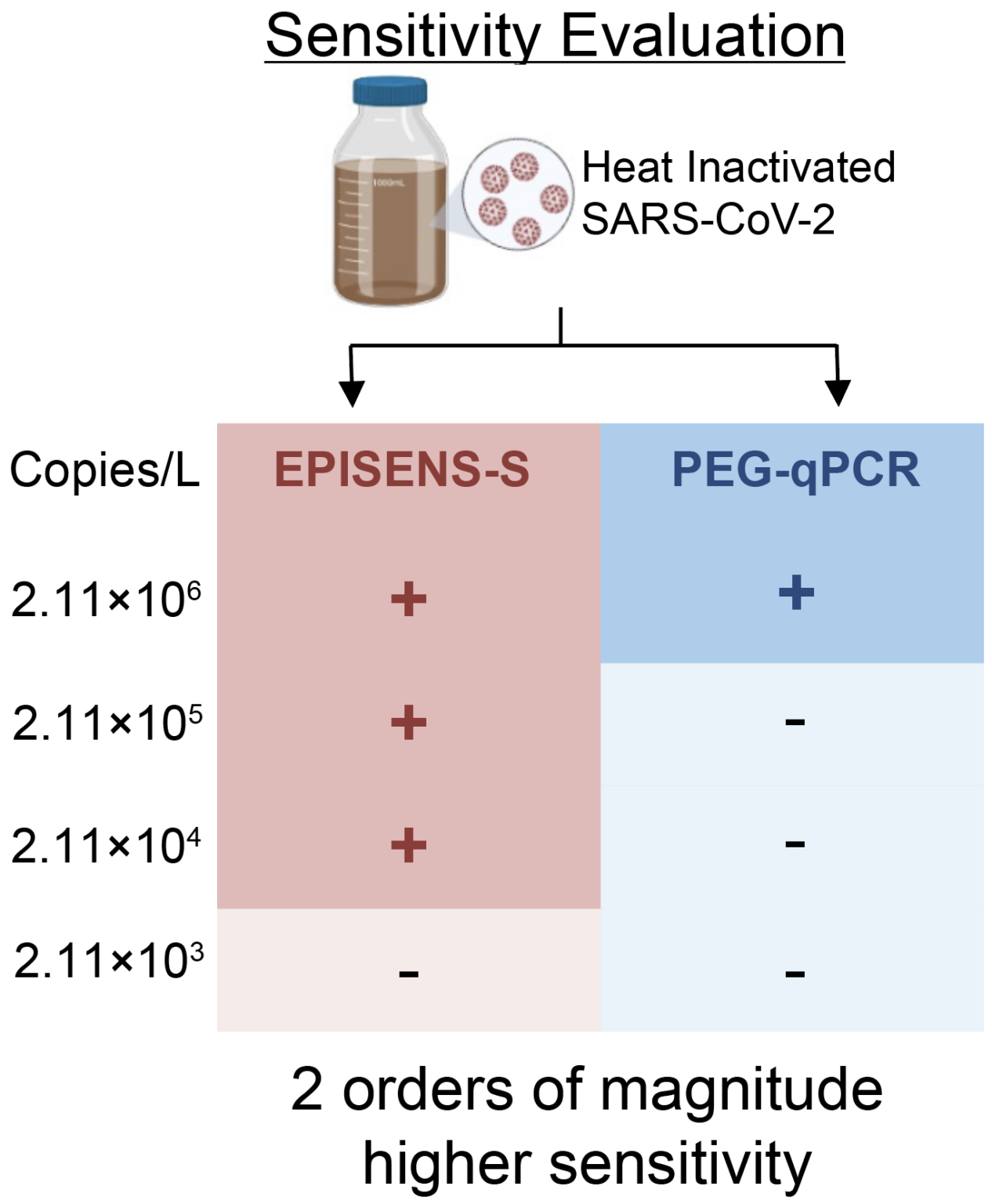 A rapid, highly sensitive method to measure SARS-CoV-2 in wastewater | Hokkaido University