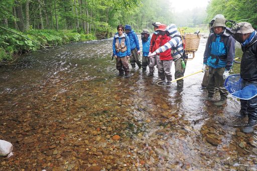 Graduate School of Environmental Science/Faculty of Environmental Earth ...